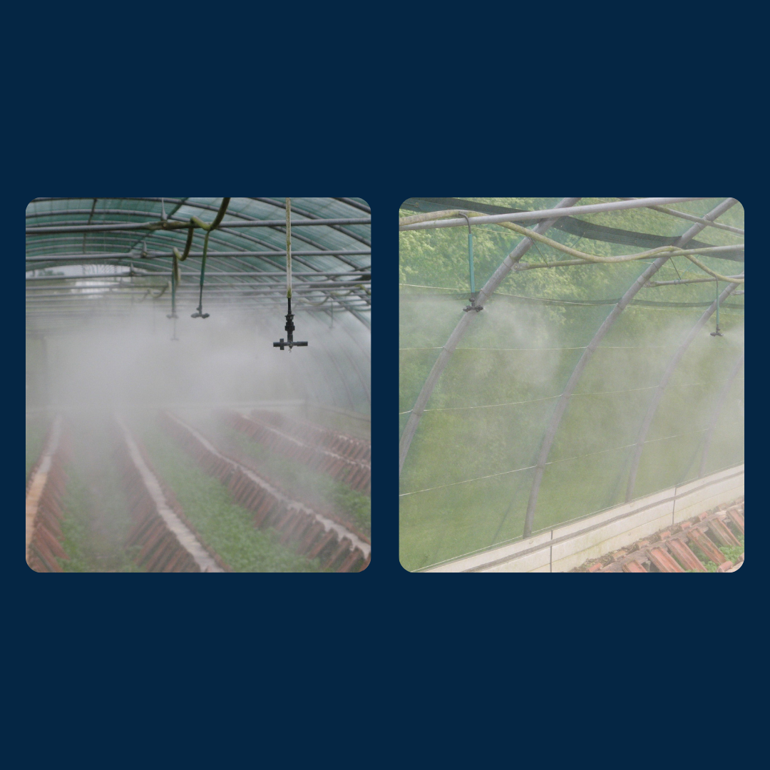 LA BRUMISATION, UN BIENFAIT POUR L’HÉLICICULTURE ! - Hélinove